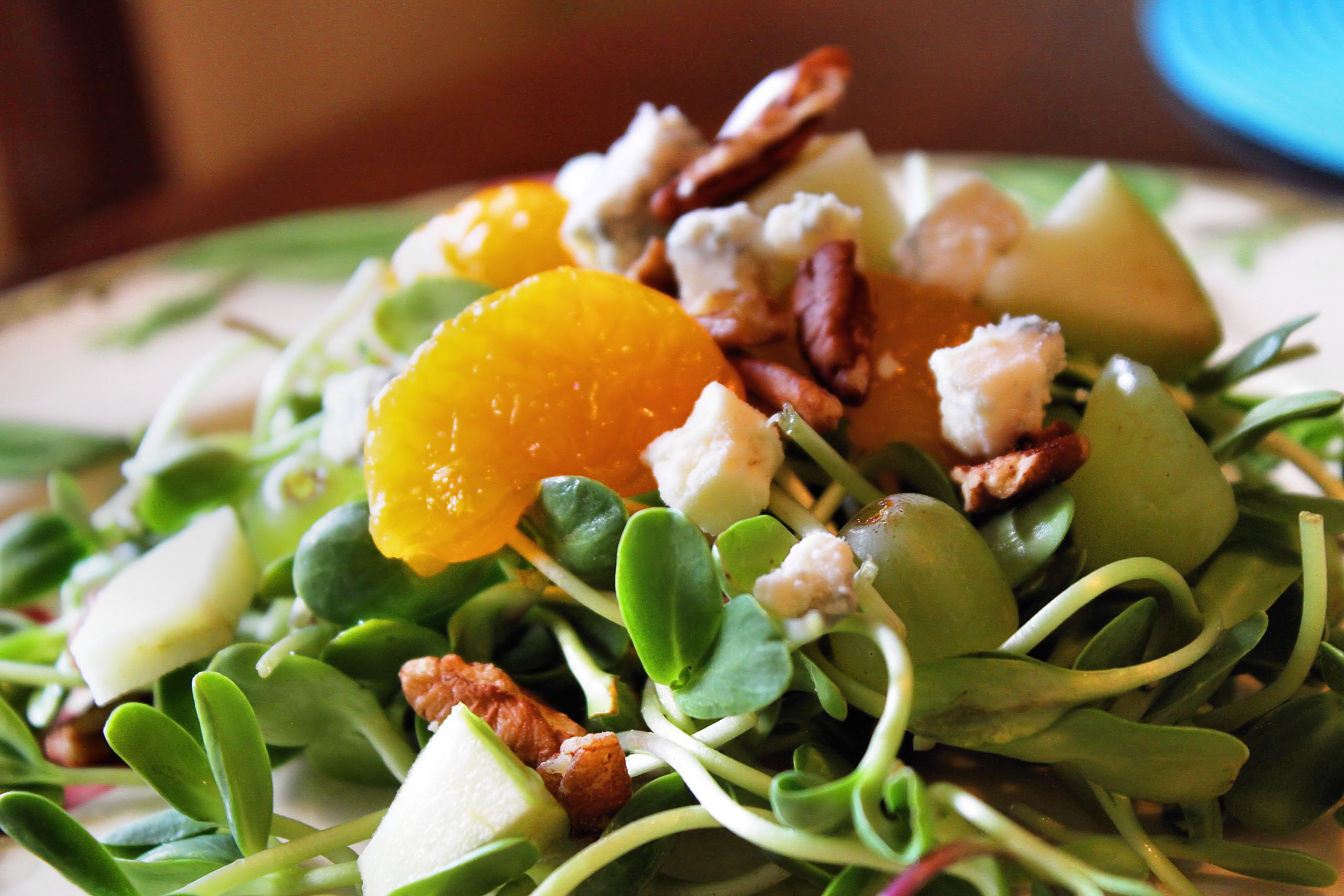 Gallery Opening Dinner | Sunflower Microgreen Salad only | 7:15 seating ...
